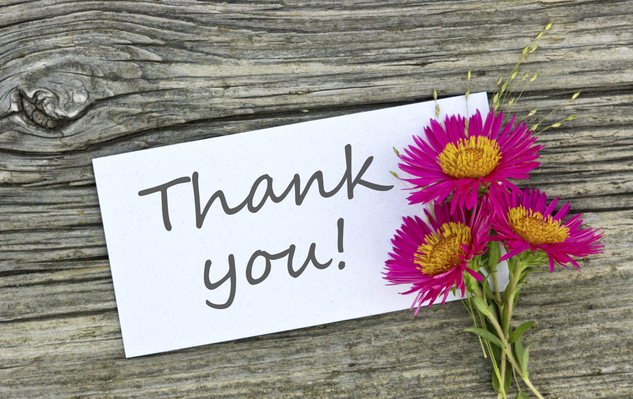 Wedding thank you cards – your questions answered – Easy Weddings UK